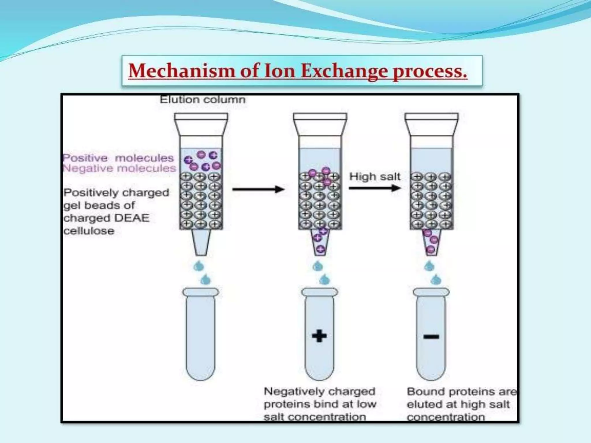 Ion-exchange chromatography ( Affan Hashmi ).pptx
