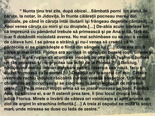Ion planurile narative | PPT