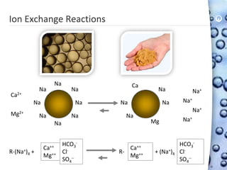 Ion 302 Surveying a Water Softener | PPTX