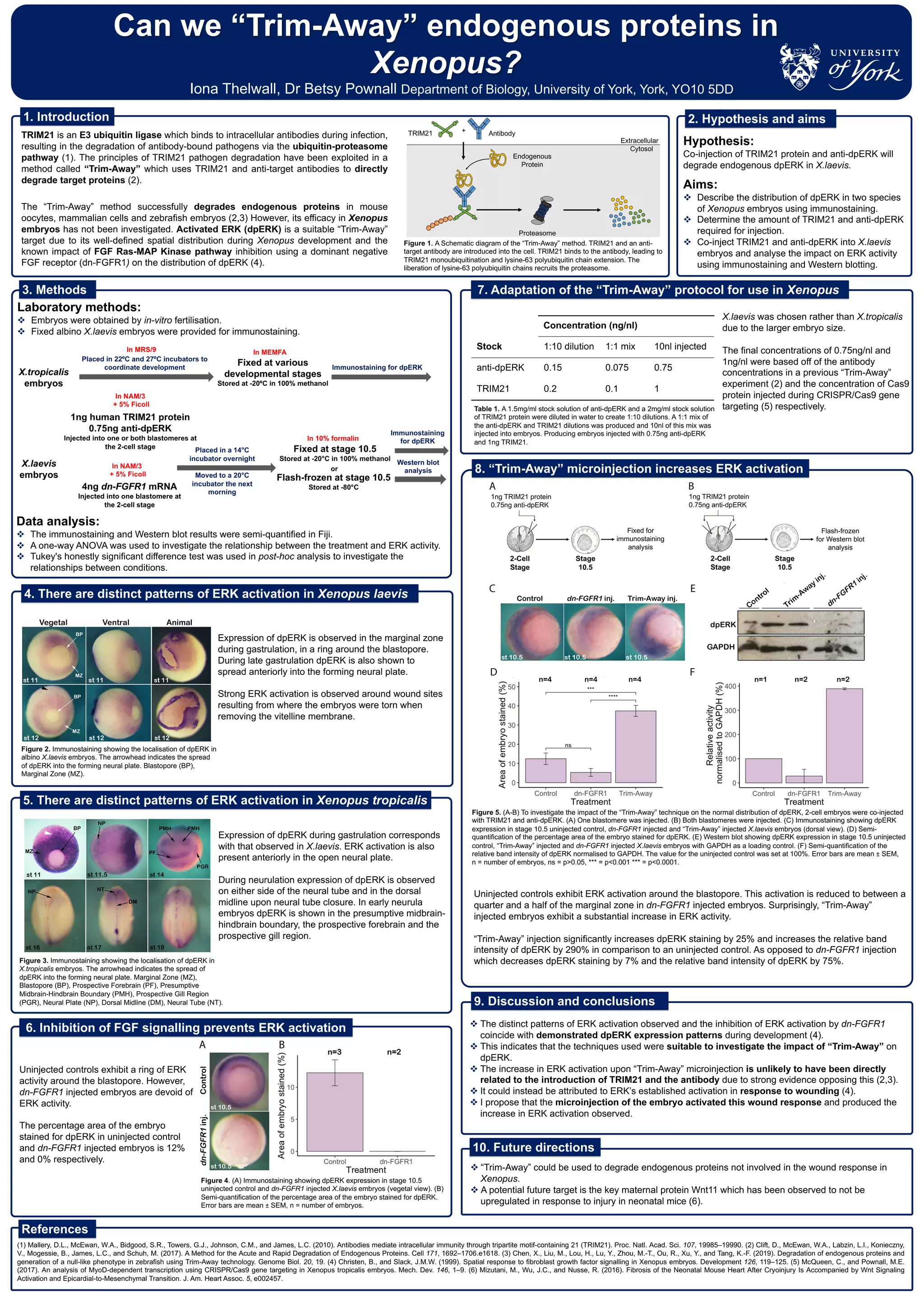 My research poster | PDF | Genetics | Science