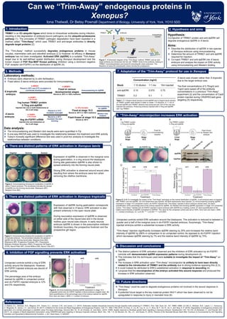 My research poster | PDF