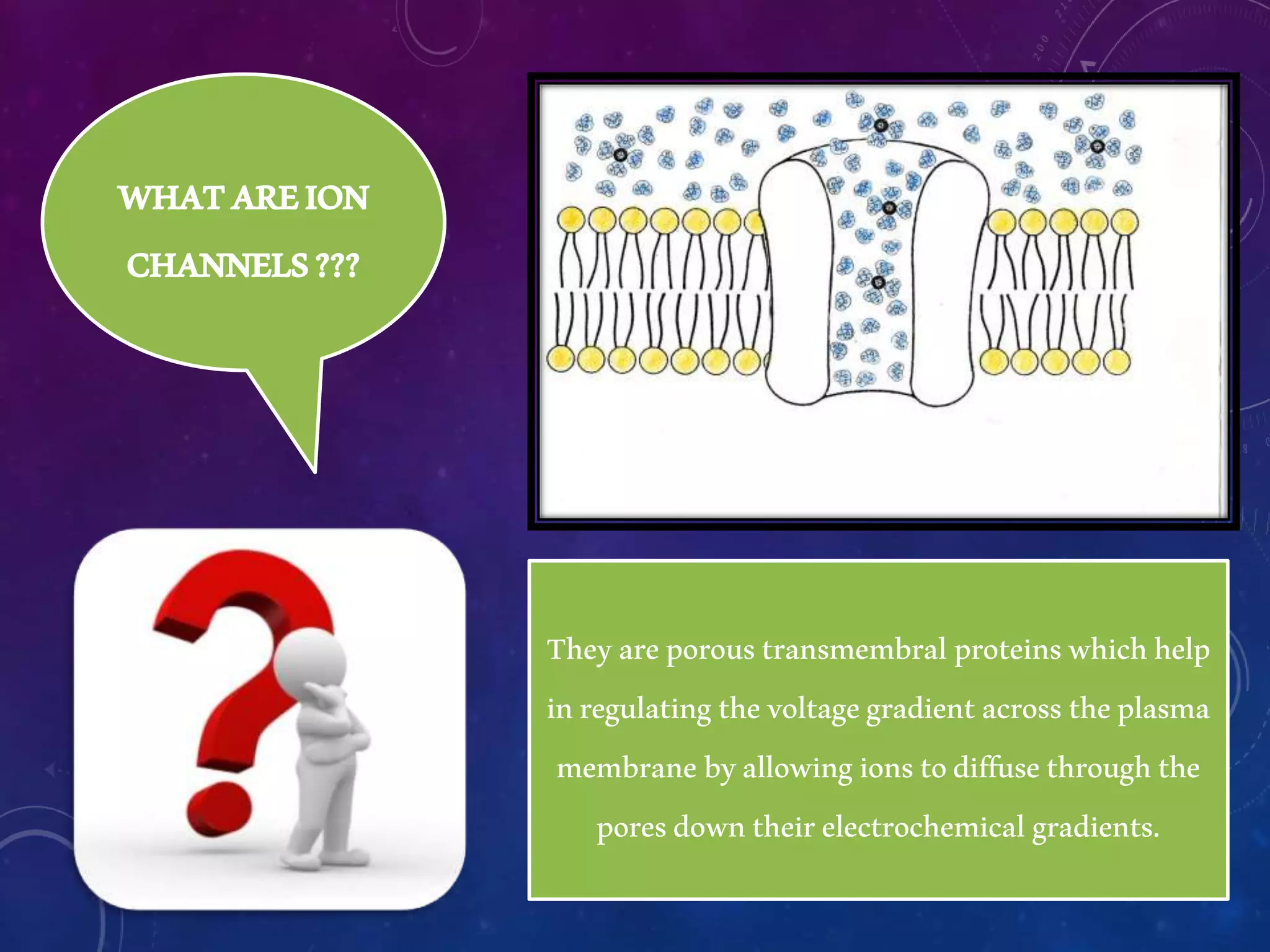 Ion channels.ppt | Chemistry | Science