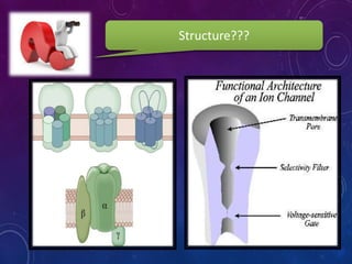 Ion c .ppt