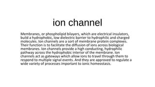Ion channel | PPT