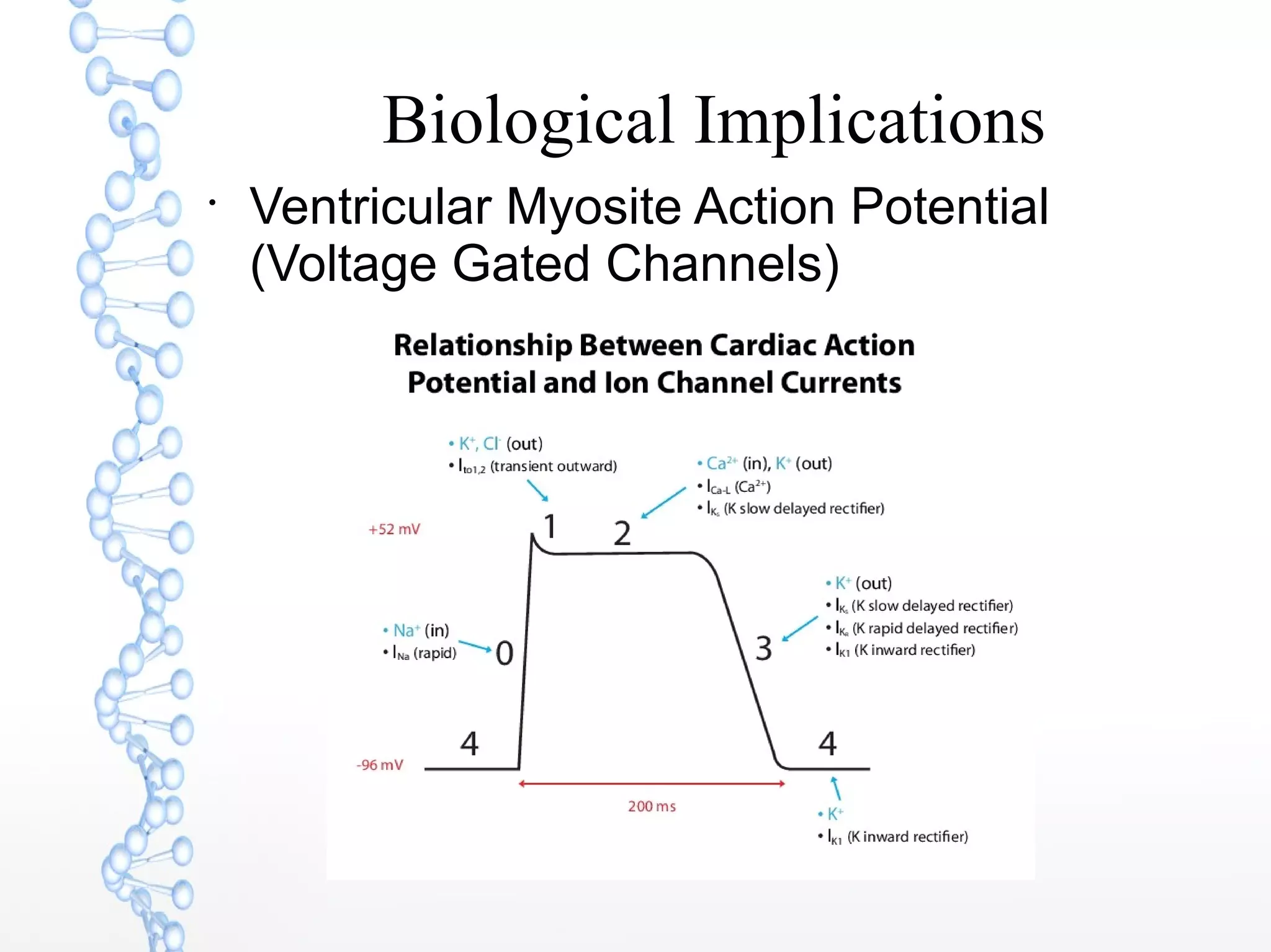 Ion channels | PPT