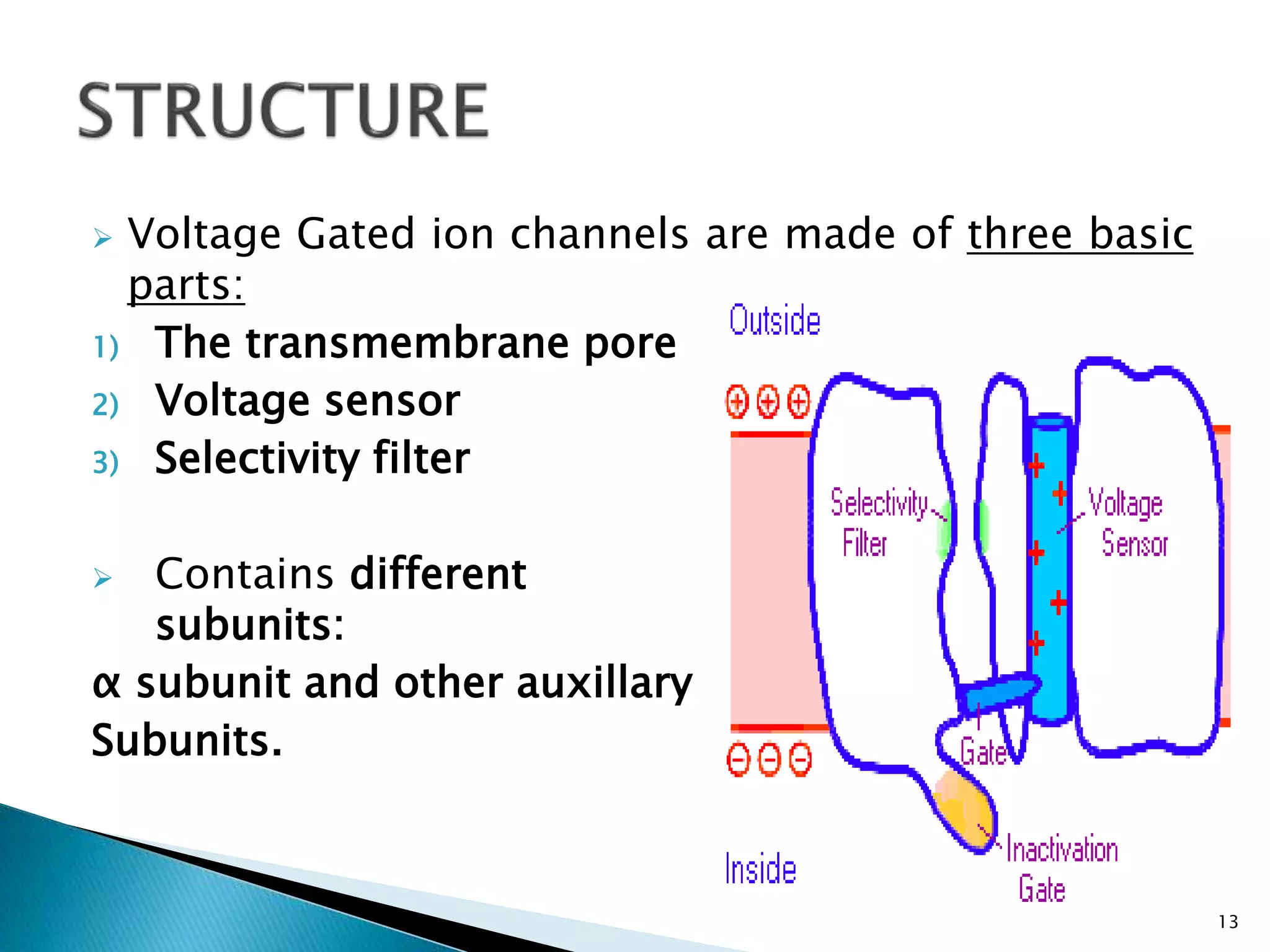 Ion channels | PPTX