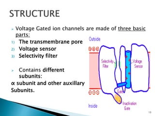 Ion channels | PPTX