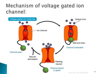 Ion channels | PPTX
