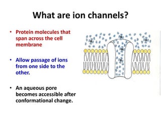 Ion channels | PPTX