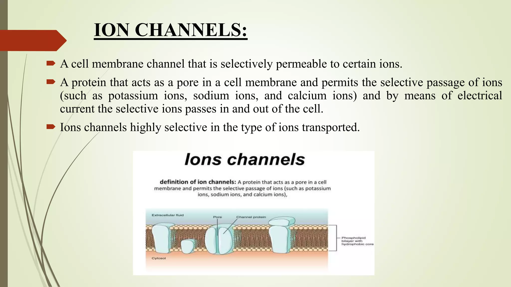 Ion channels | PPTX