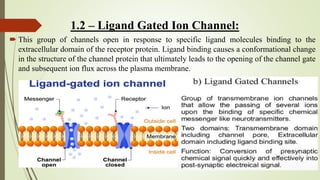 Ion channels | PPTX