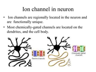Ion Channels.pptx
