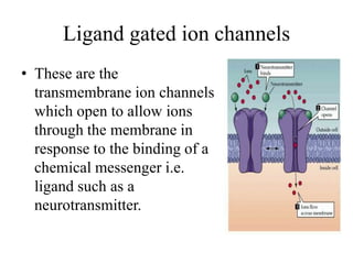 Ion Channels.pptx