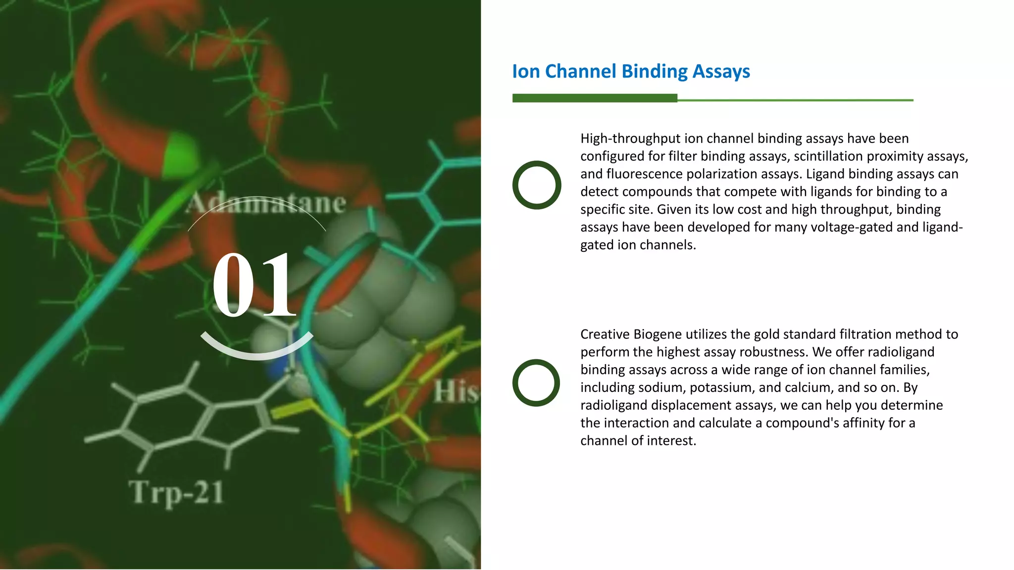 Ion channel screening profiling services | PDF