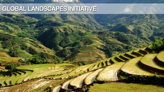 Institute on the Environment: Overview 2011 | PDF