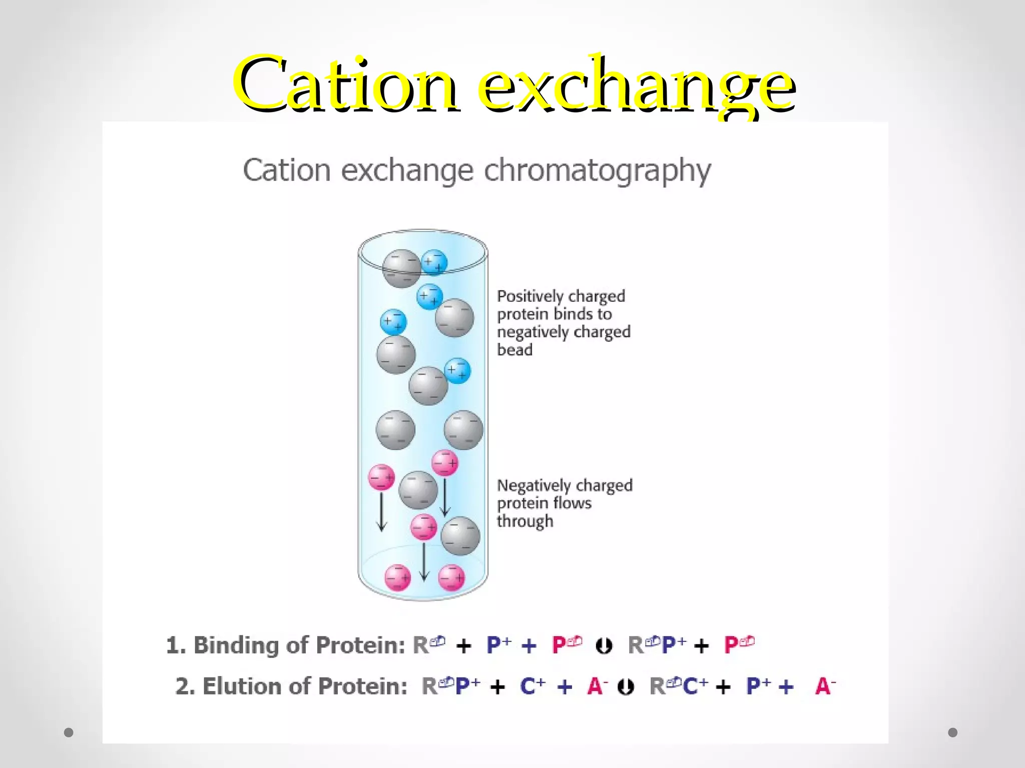 Ion exchange chromatography | PPT