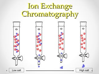 Ion Exchange Chromatography,Defination, Principle And, 43% OFF