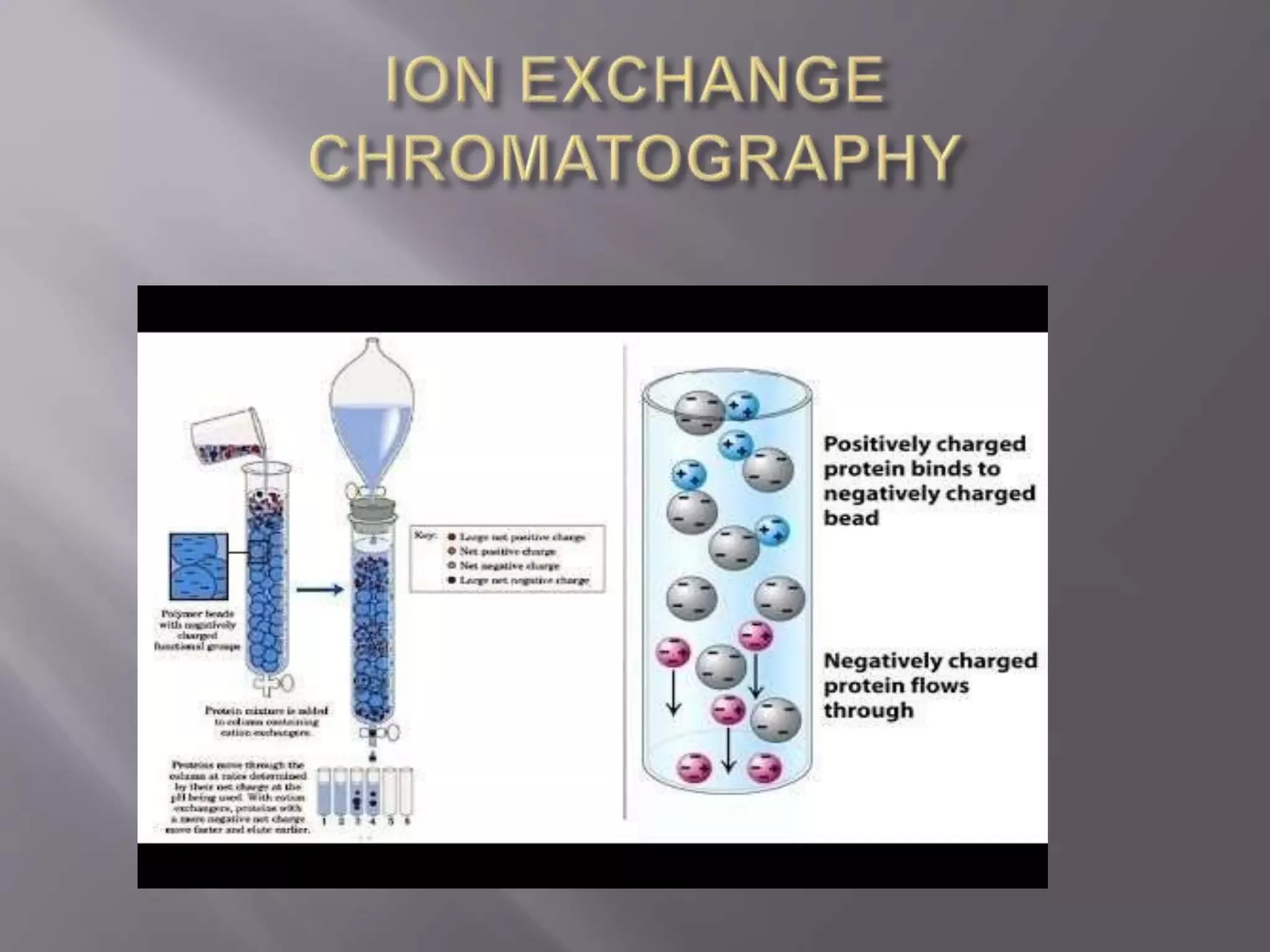 Ion exchange chromatography | PPTX