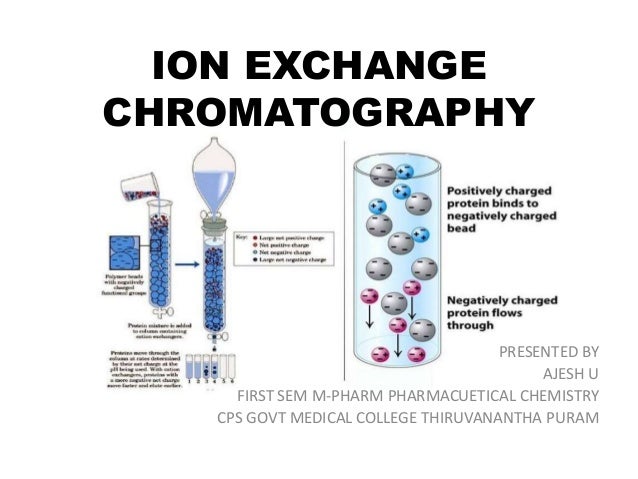 Ion exchange chromatography