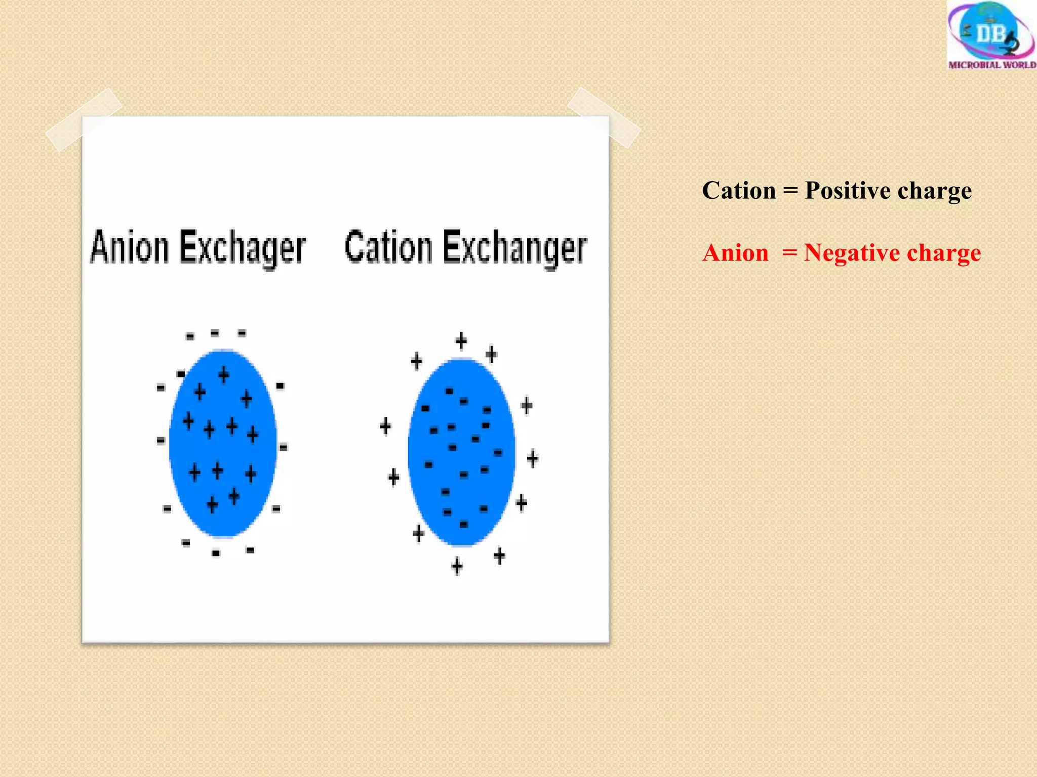 Ion exchange chromatography | PPT