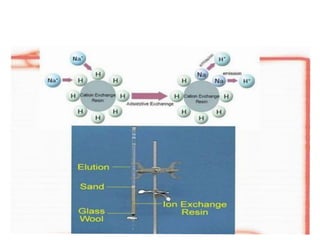 ion exchange chromatography.pptx