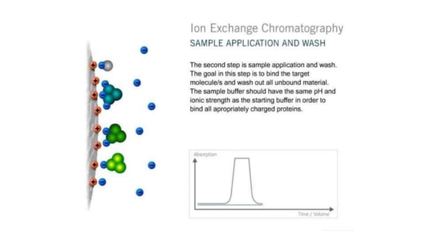 Ion Exchange Chromatography.pptx