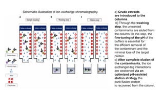 Ion Exchange Chromatography.pptx