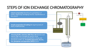 Ion Exchange Chromatography.pptx