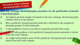 Ion Exchange Chromatography.pptx