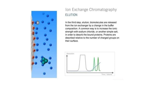 Introduction to Ion Exchange Chromatography .pptx