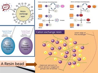 Cation Exchange Chromatography and Anion Exchange Chromatography .pptx