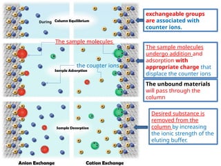 Cation Exchange Chromatography and Anion Exchange Chromatography .pptx