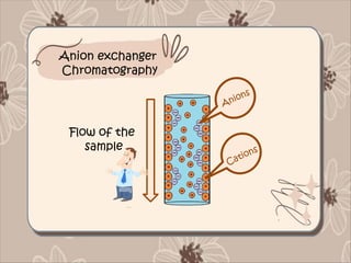 Ion exchange chromatography/ Instrumental Method of Analysis | PPTX