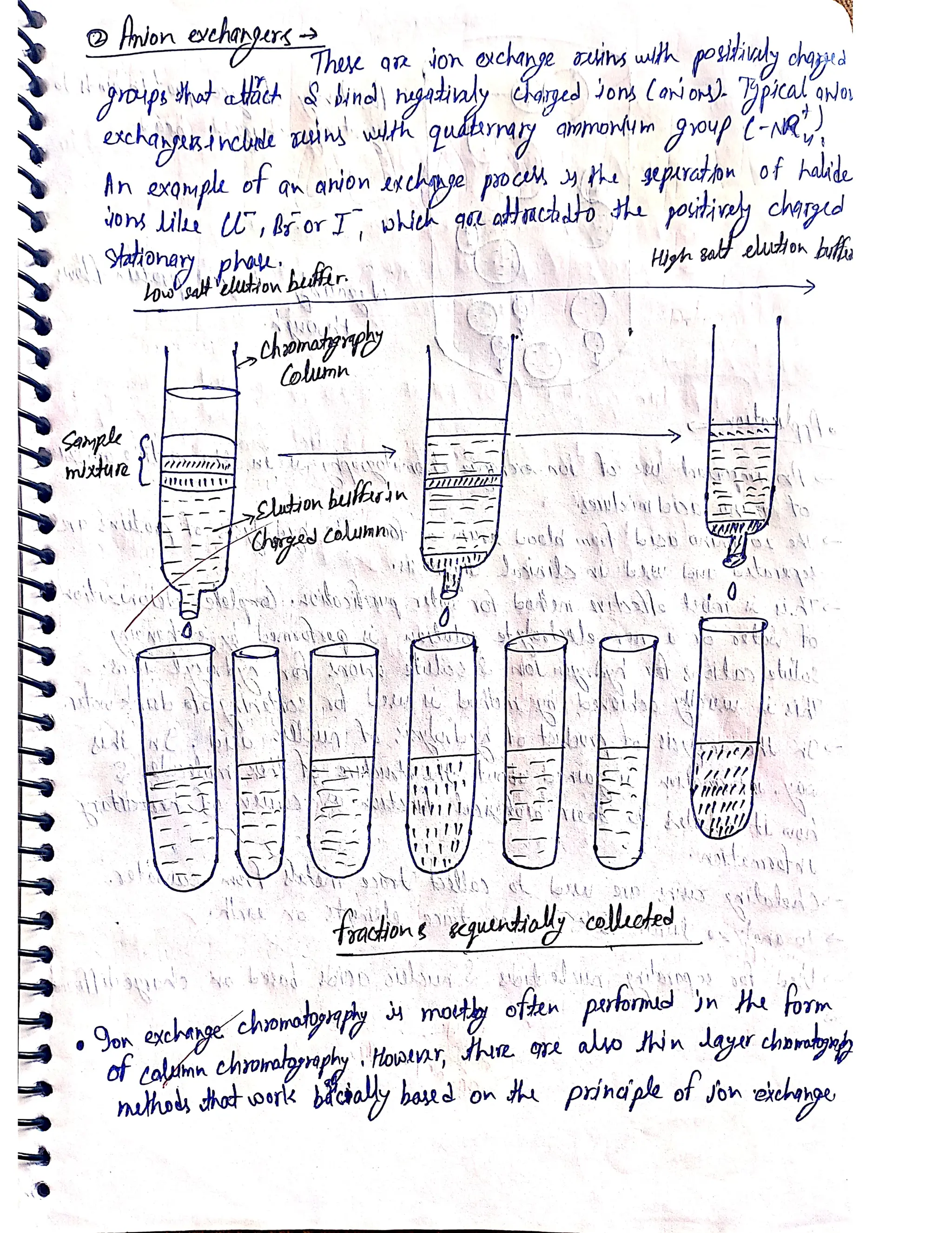 Ion exchange chromatography Hand Written Notes.pdf