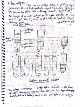 Ion exchange chromatography Hand Written Notes.pdf
