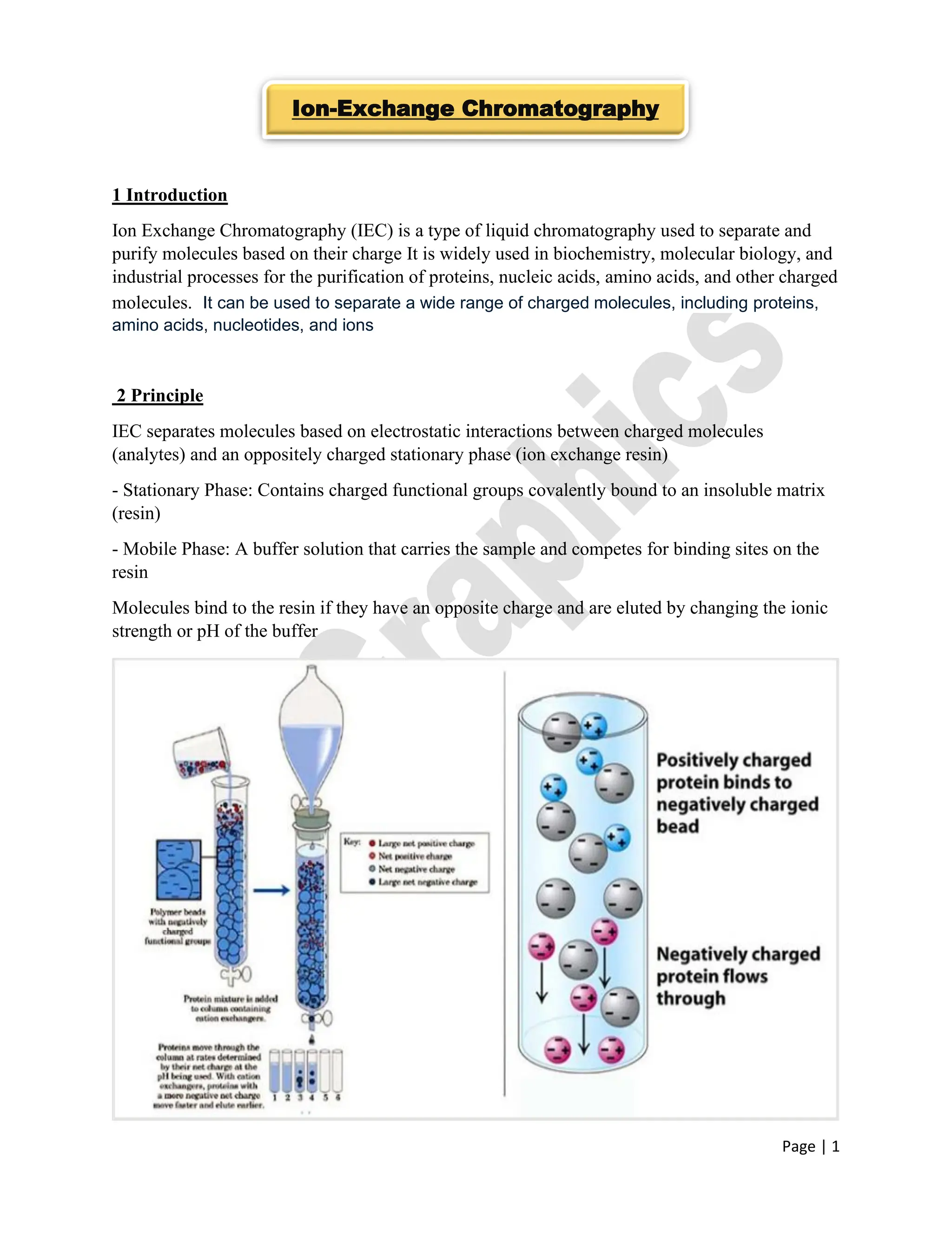 Ion Exchange Chromatography for B.Sc Biotechnology/Botany | PDF