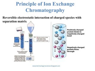 Ion exchange chromatography | PPTX