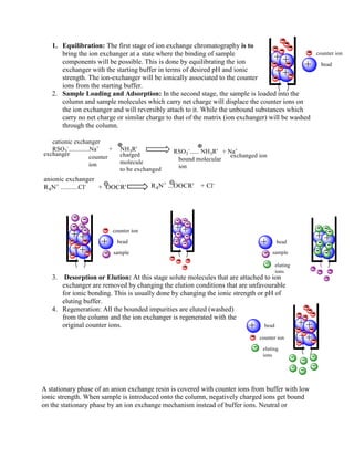 Ion exchange chromatography2 | PDF | Free Download