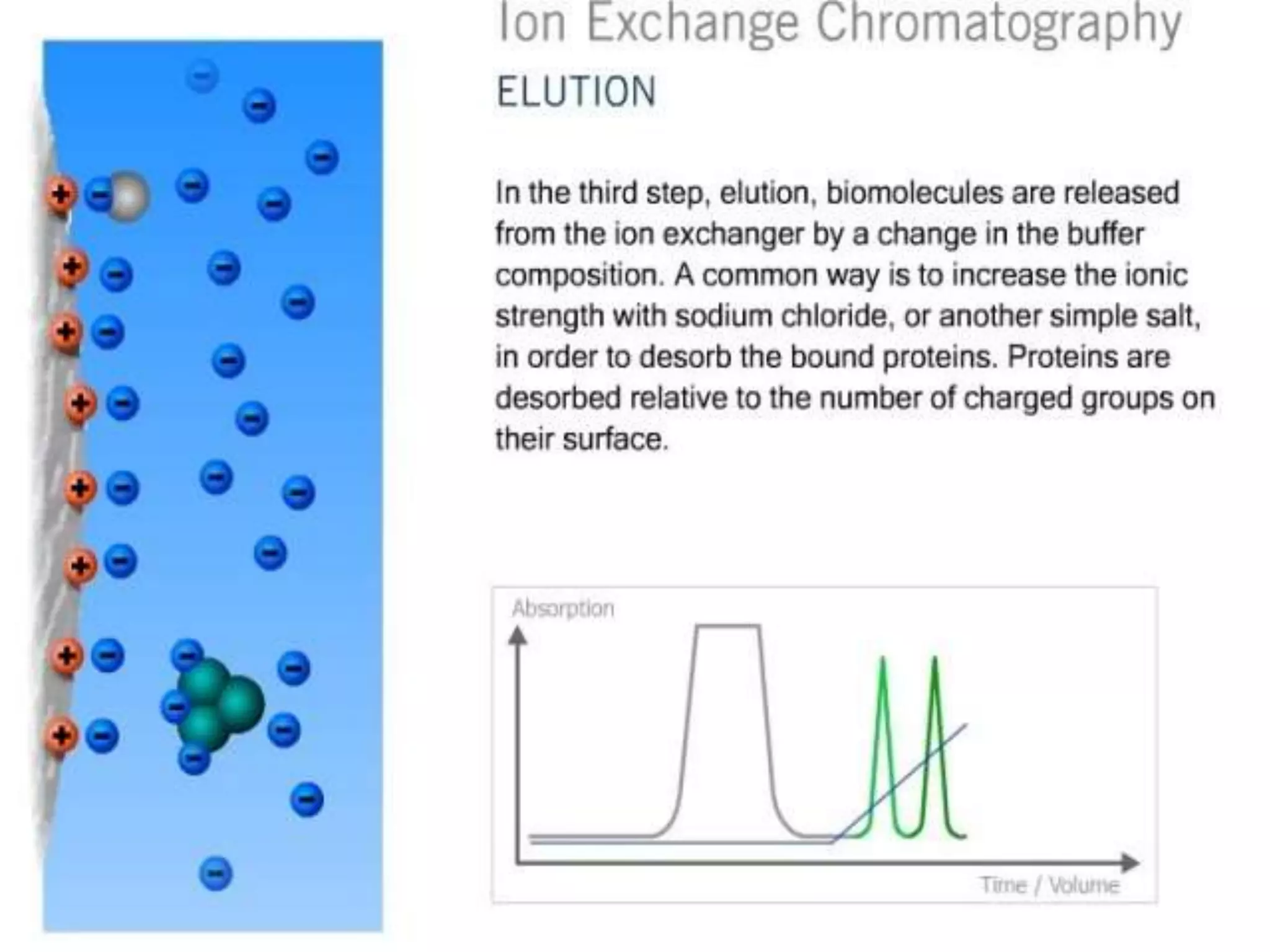 Ion exchange chromatography | PPTX