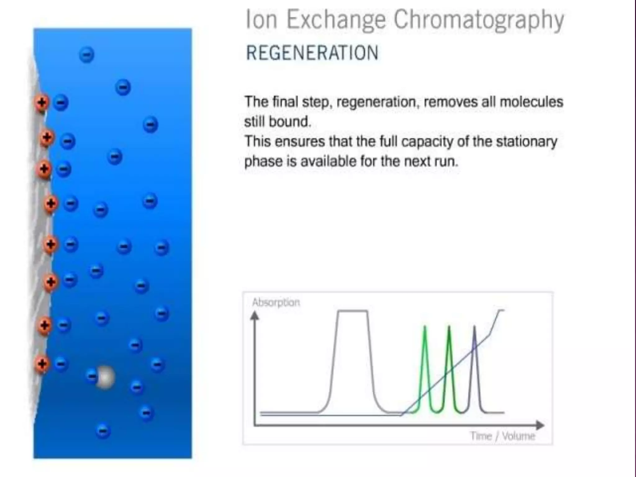 Ion exchange chromatography | PPTX