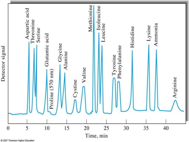 Ion exchange chromatography | PPTX