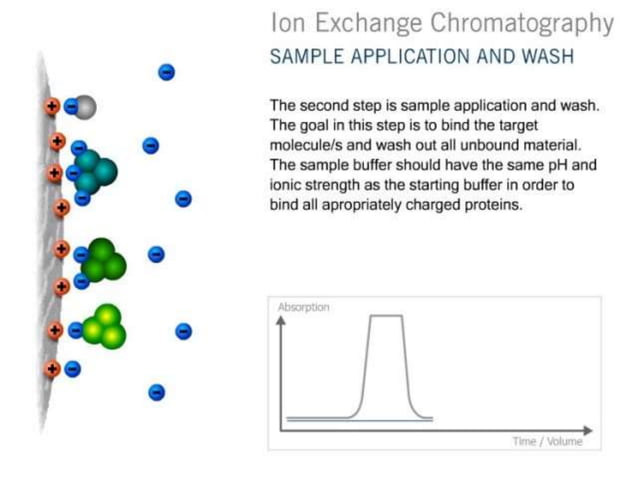 Ion exchange chromatography | PPT