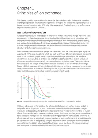 Ion_Exchange_Chromatography_Handbook.pdf