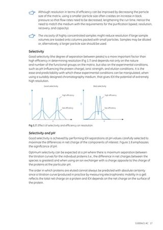 Ion_Exchange_Chromatography_Handbook.pdf