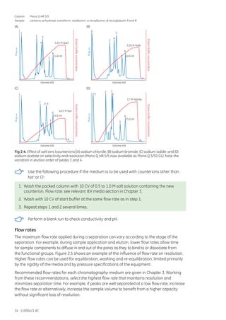 Ion_Exchange_Chromatography_Handbook.pdf