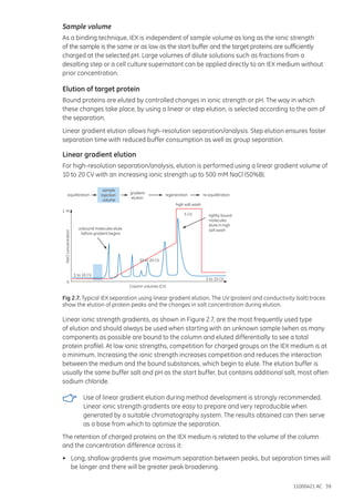 Ion_Exchange_Chromatography_Handbook.pdf