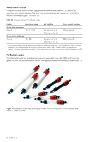 Ion_Exchange_Chromatography_Handbook.pdf