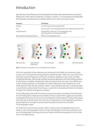 Ion_Exchange_Chromatography_Handbook.pdf