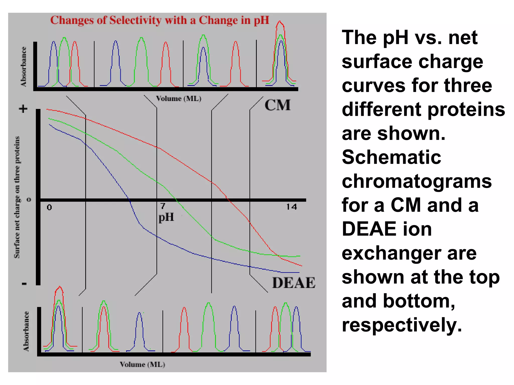 Ion Exchange Chromatography Lecture | PPT