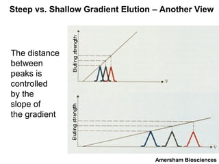 Ion Exchange Chromatography Lecture | PPT